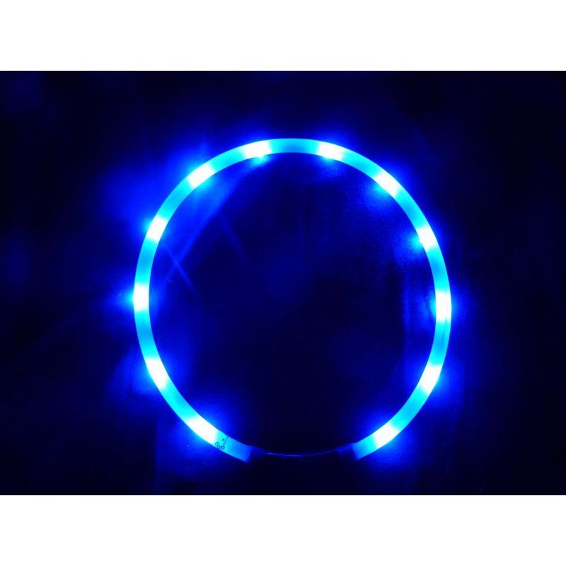 aniMate LED Dog Loop OutdoorGB
