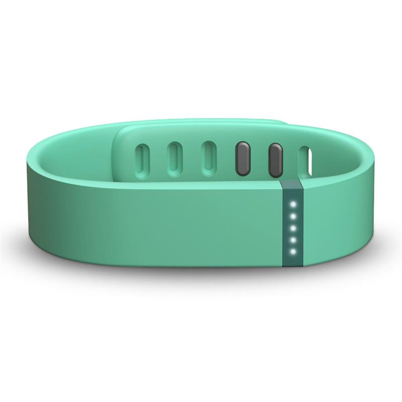 Fitbit Flex Wireless Activity and Sleep Wristband OutdoorGB