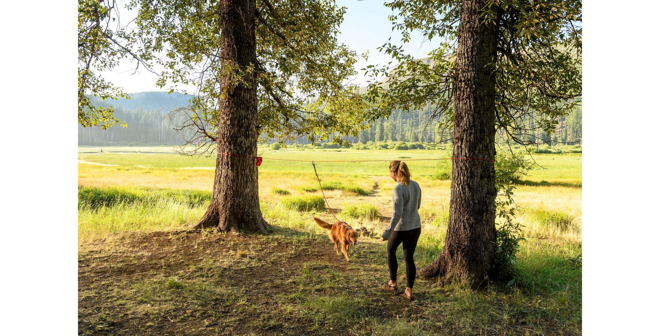 Ruffwear Knot-a-Hitch Campsite Dog-hitching System OutdoorGB